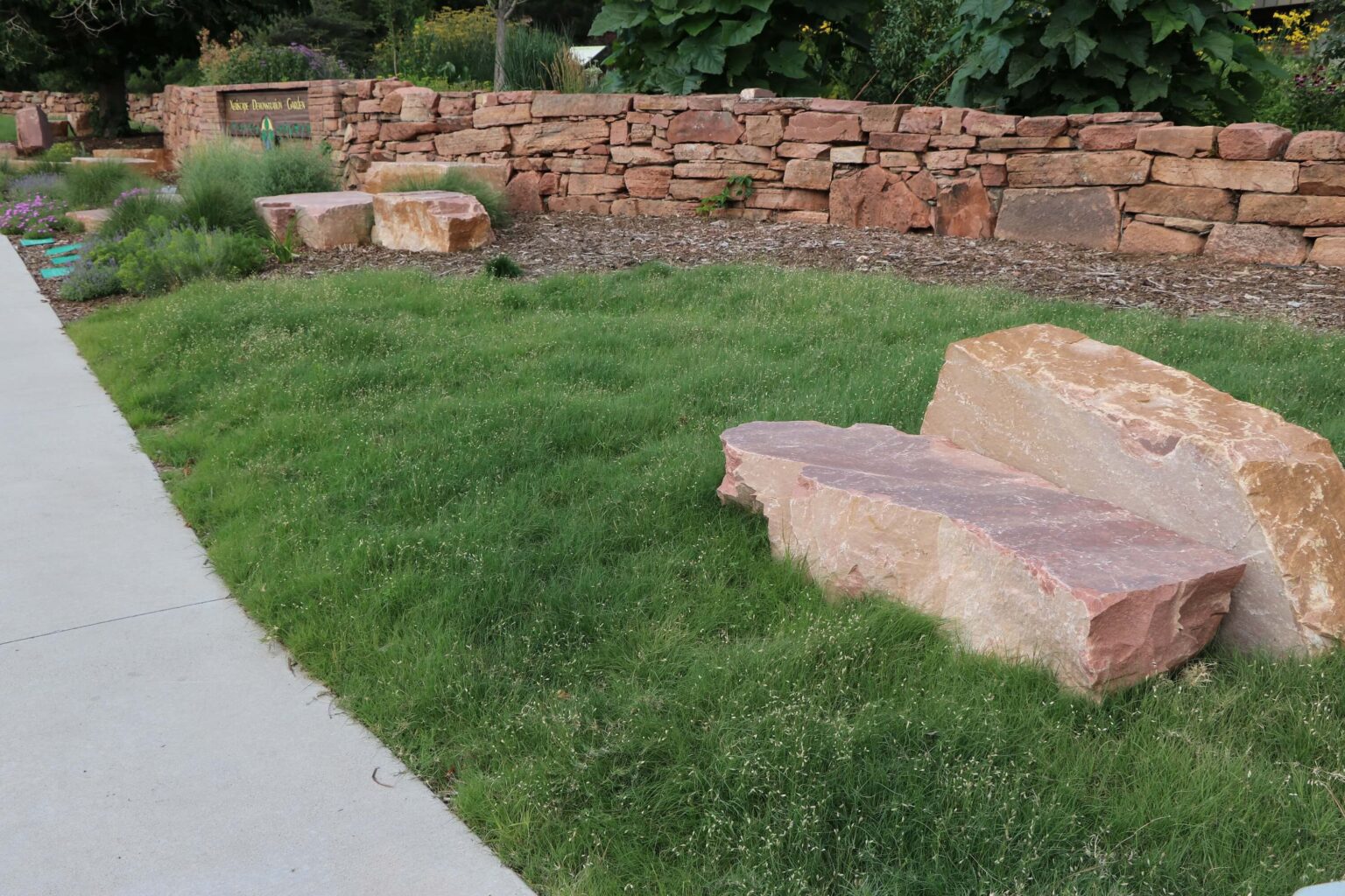 Grass Options | Colorado Native Grass Guide